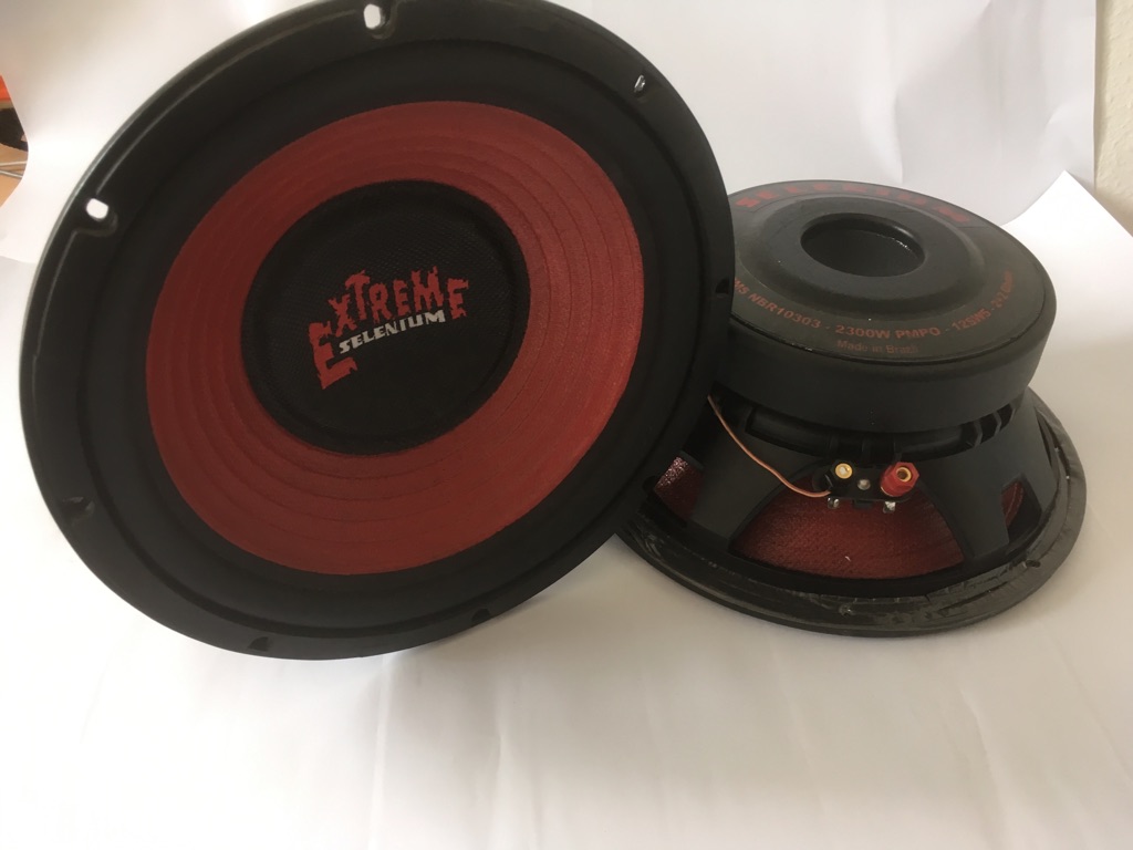 Selenium 12SW5 12" Subwoofer