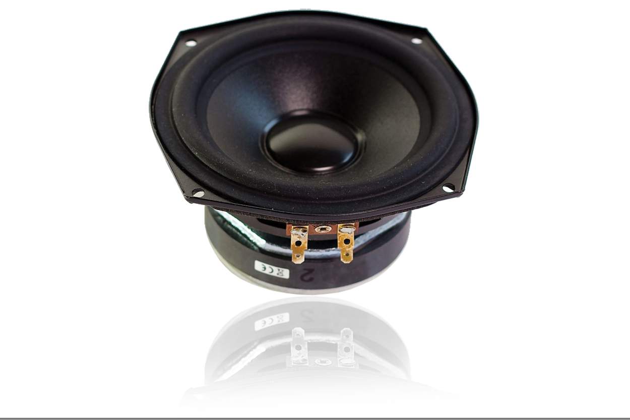 Speaker Midbass Woofer Tonsil GDN 13/40/2-8 5"